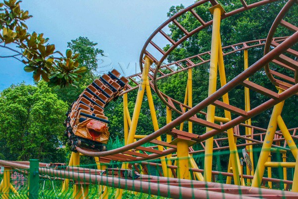 Amusement park roller coasters for sale | competitive price